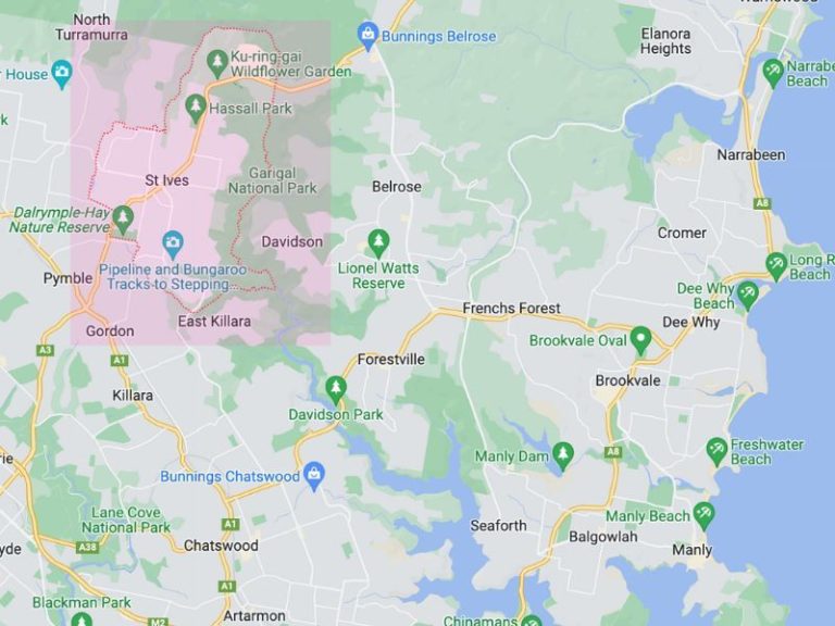 The 10 Best Sydney Suburbs for Families - New South Homes